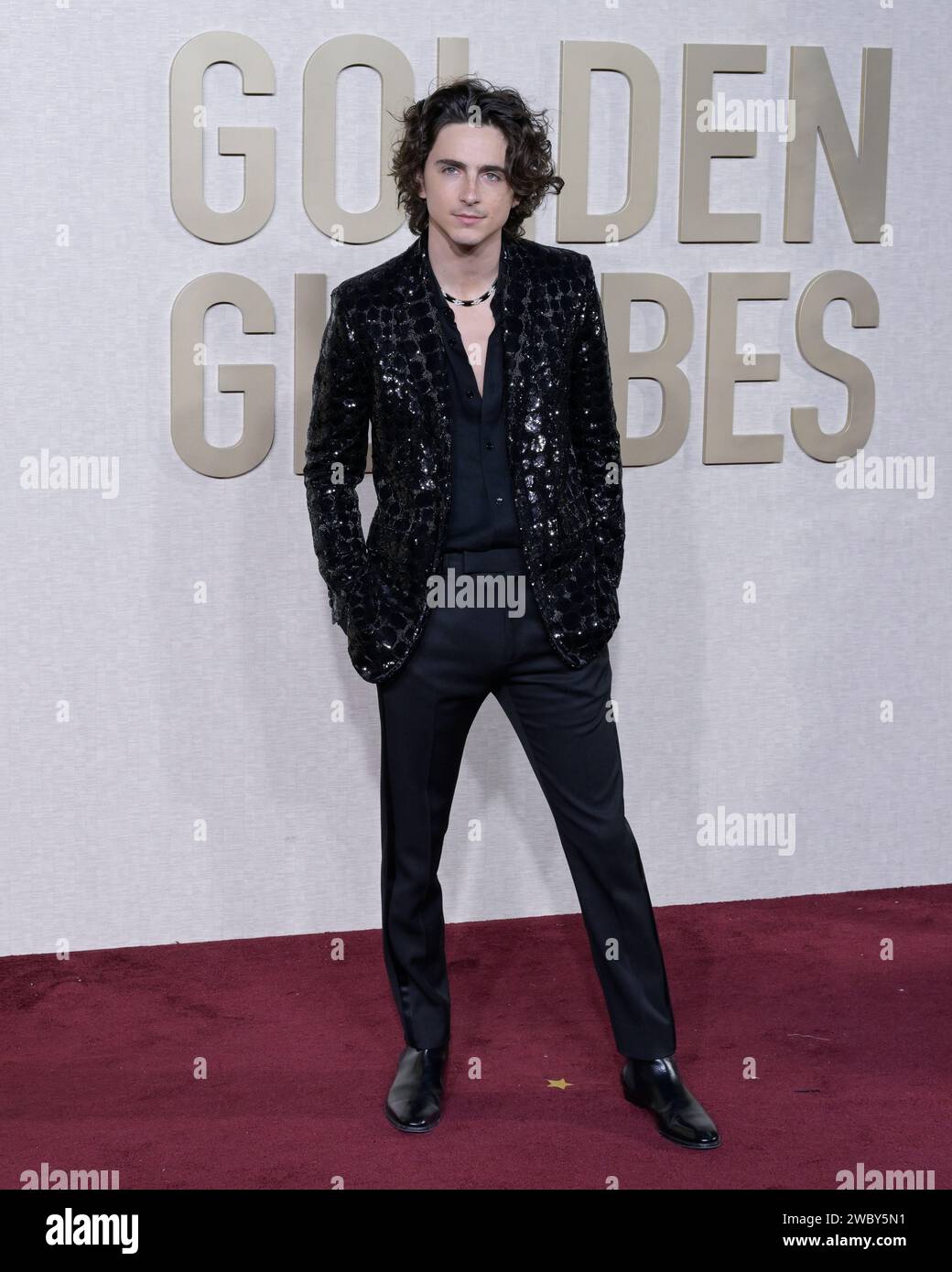 Beverly Hills, California, USA. 07th Jan, 2024. Timothee Chalamet. 81st ...
