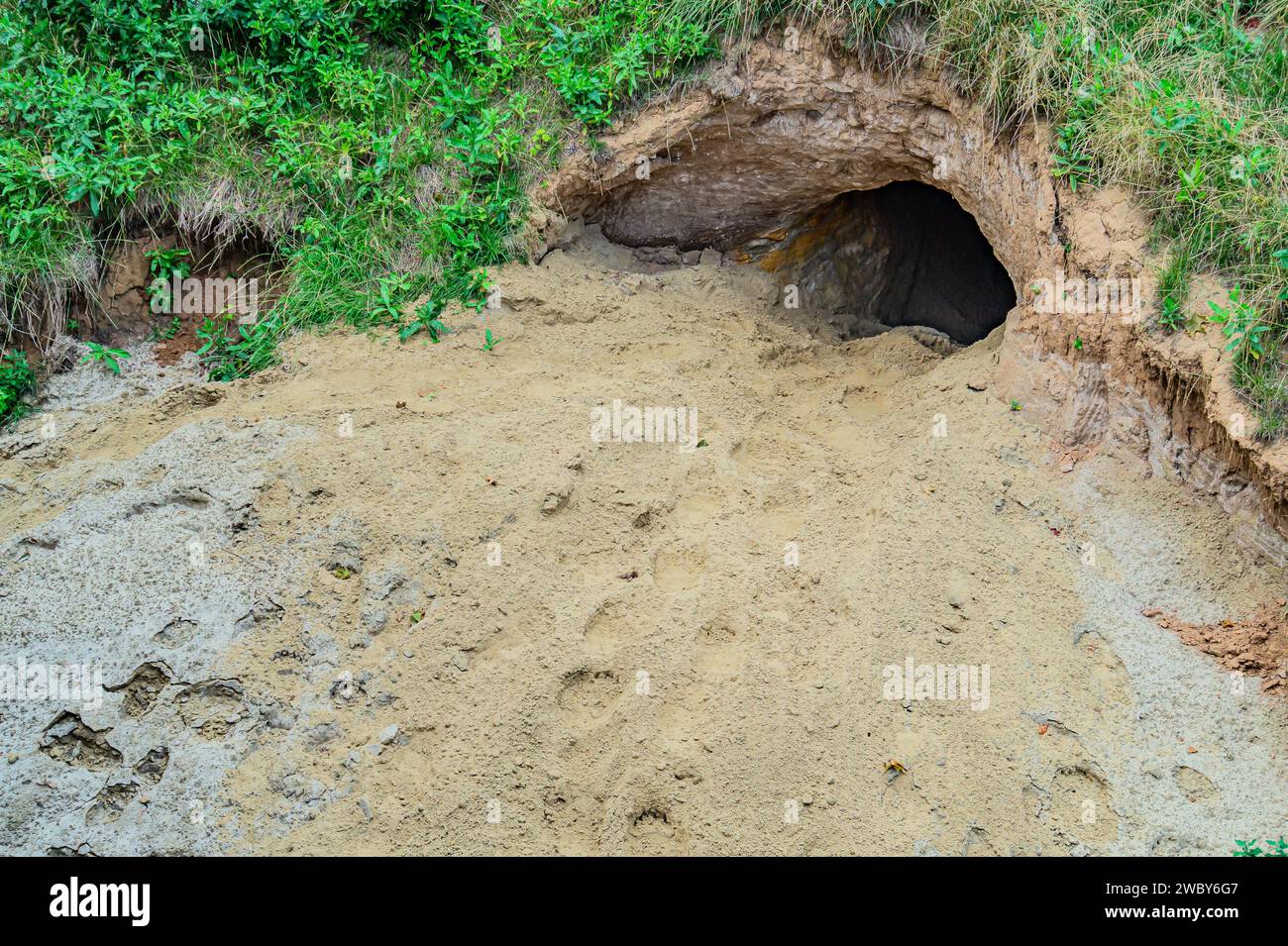The hole in the ground is a hole in which you can see the entrance to ...