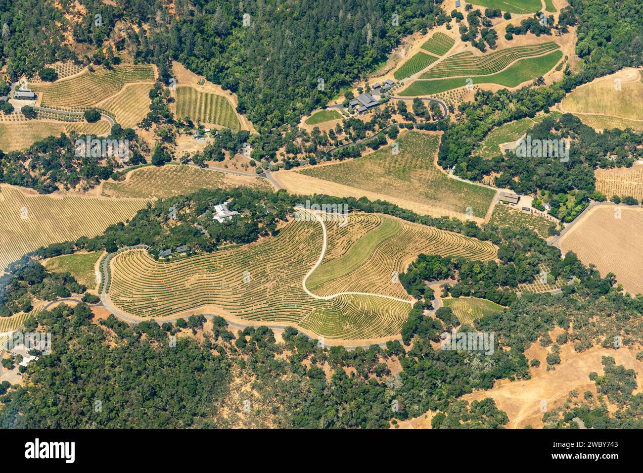 Aerial drone view lush grapevine hi-res stock photography and images ...