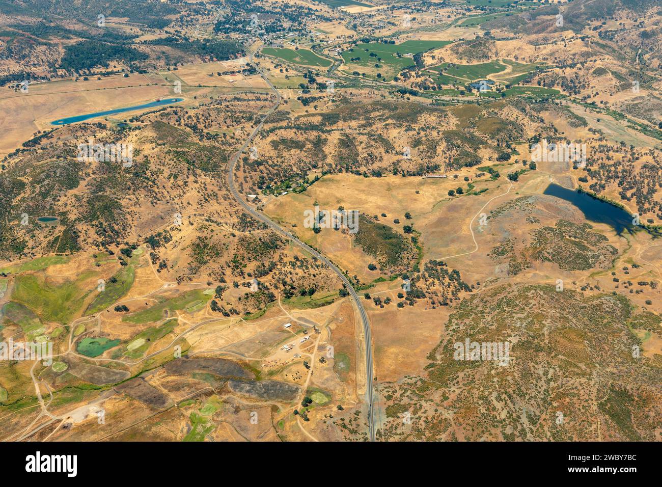 Aerial view of green rows of plants in farm fields, vineyards, and the ...
