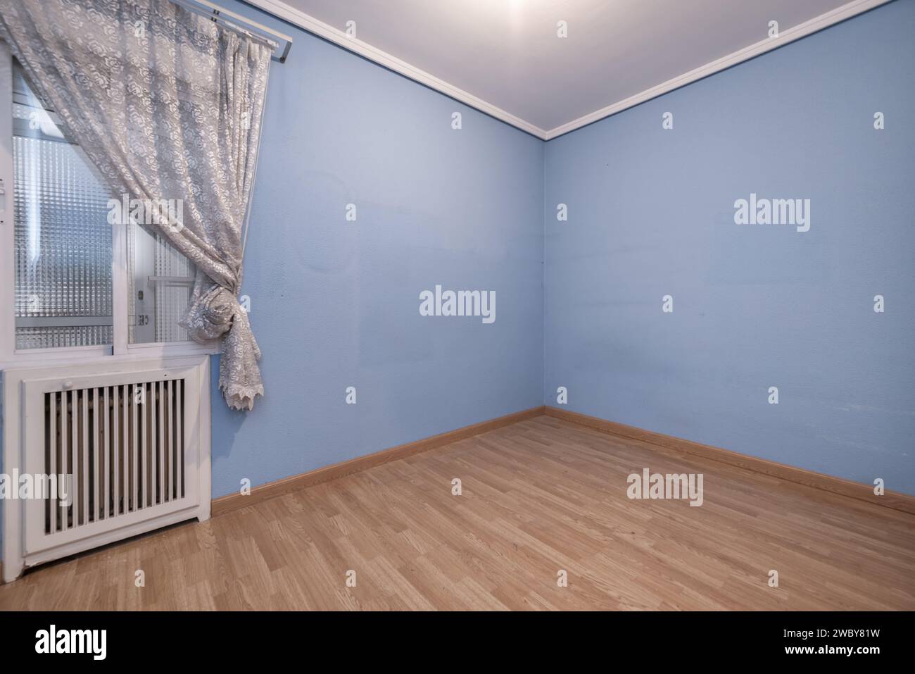 An empty room with light blue painted walls, plaster moldings on the ...