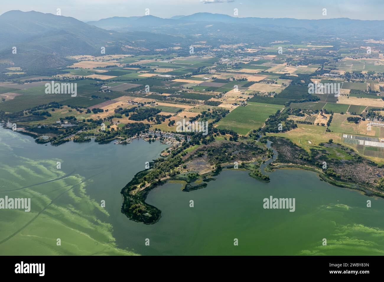 Aerial view of the polluted green waters of Clear Lake and the ...