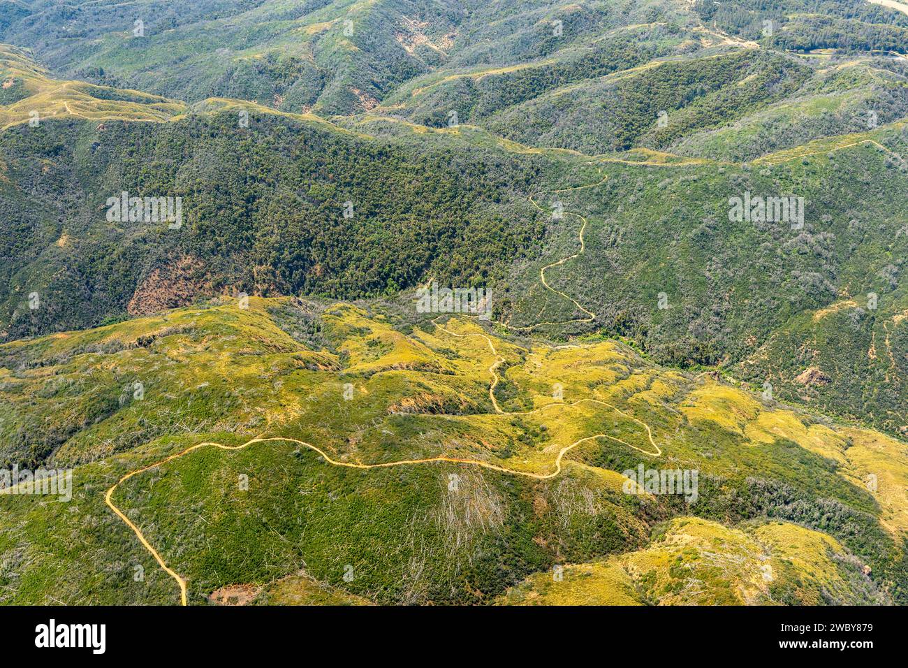 Aerial view of the colorful green pattern and relief of mountain ridges ...