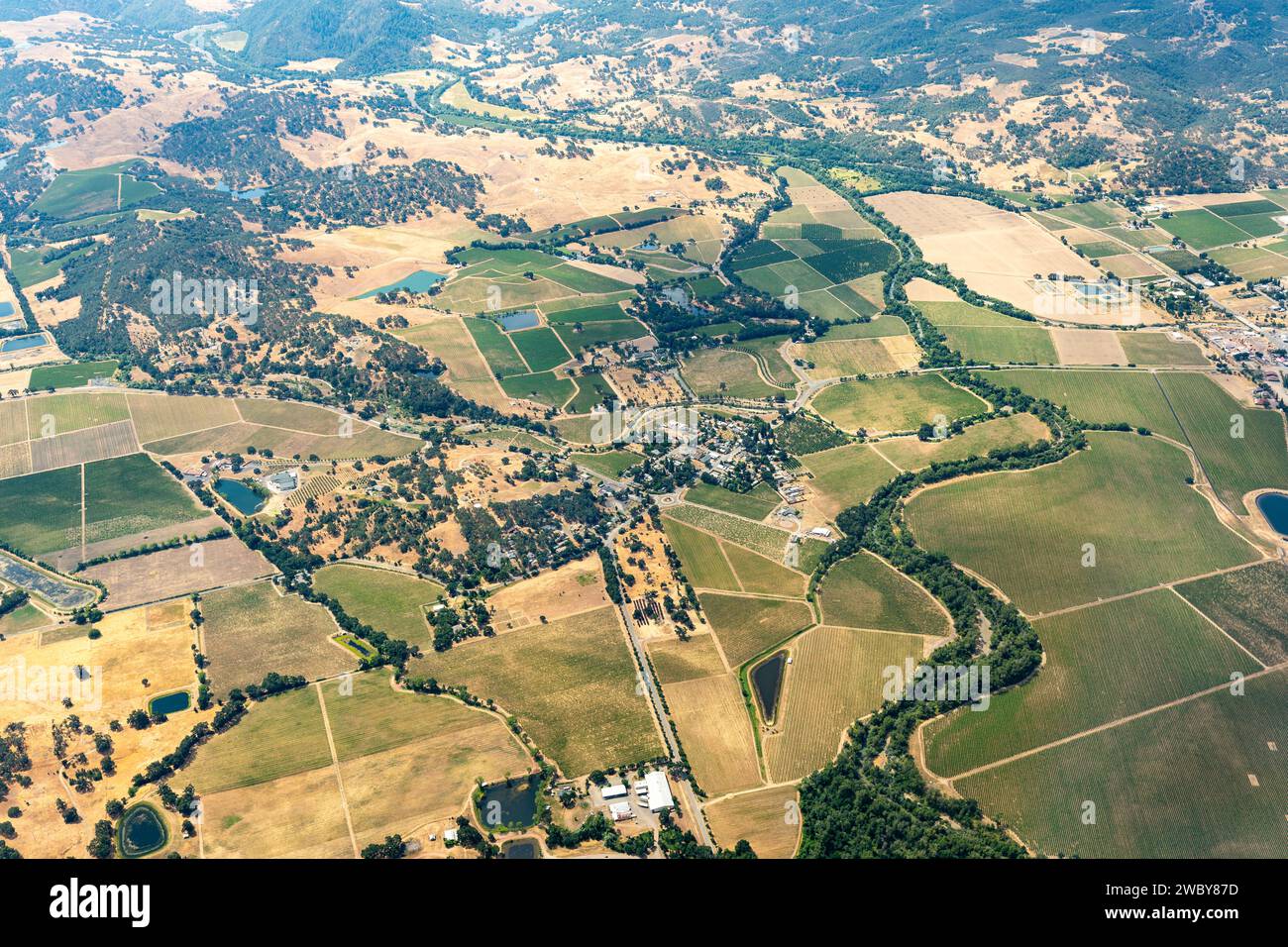 Aerial view of green rows of plants in farm fields, vineyards, and the ...
