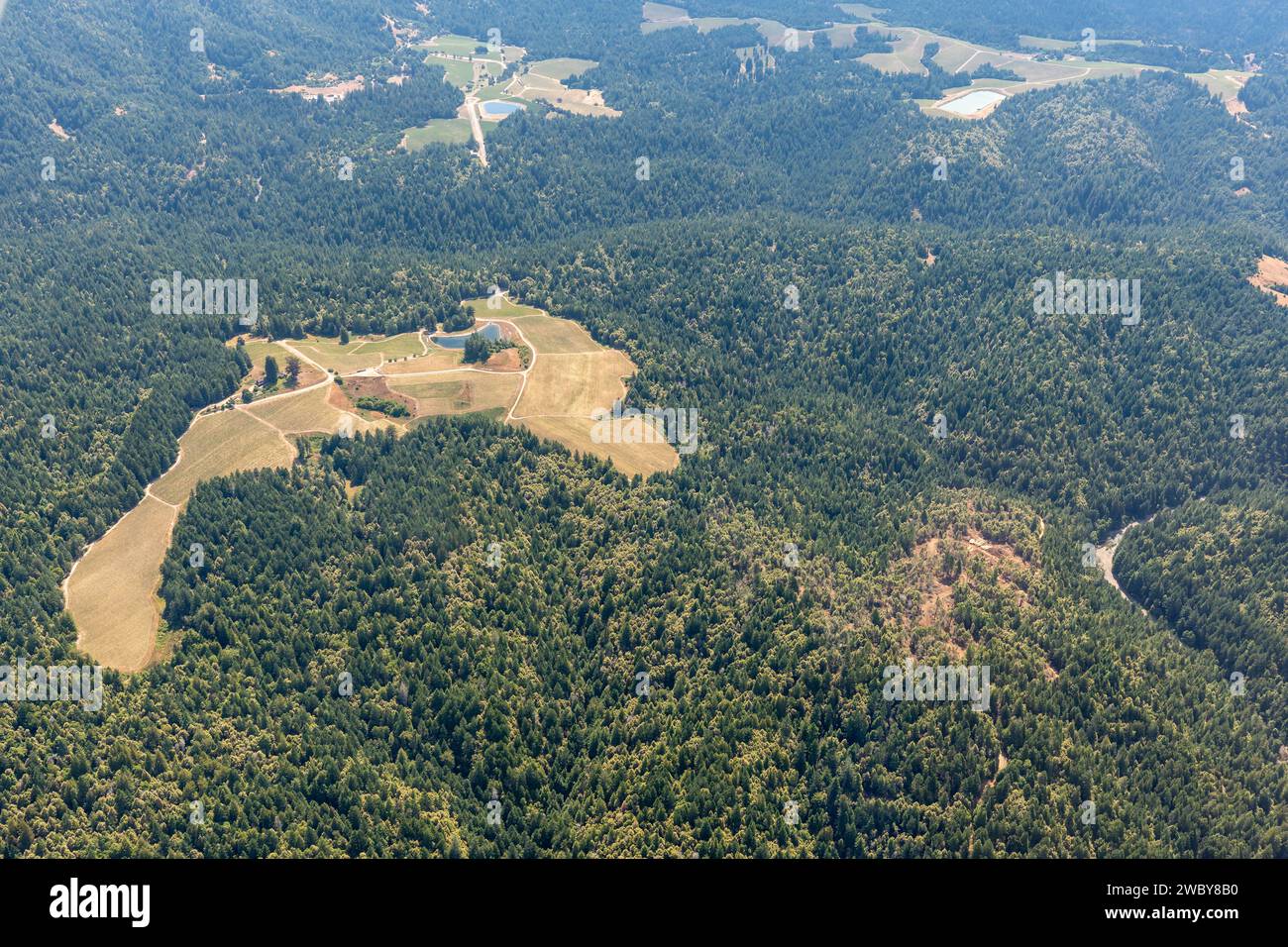Aerial view of the colorful green pattern and relief of mountain ridges ...