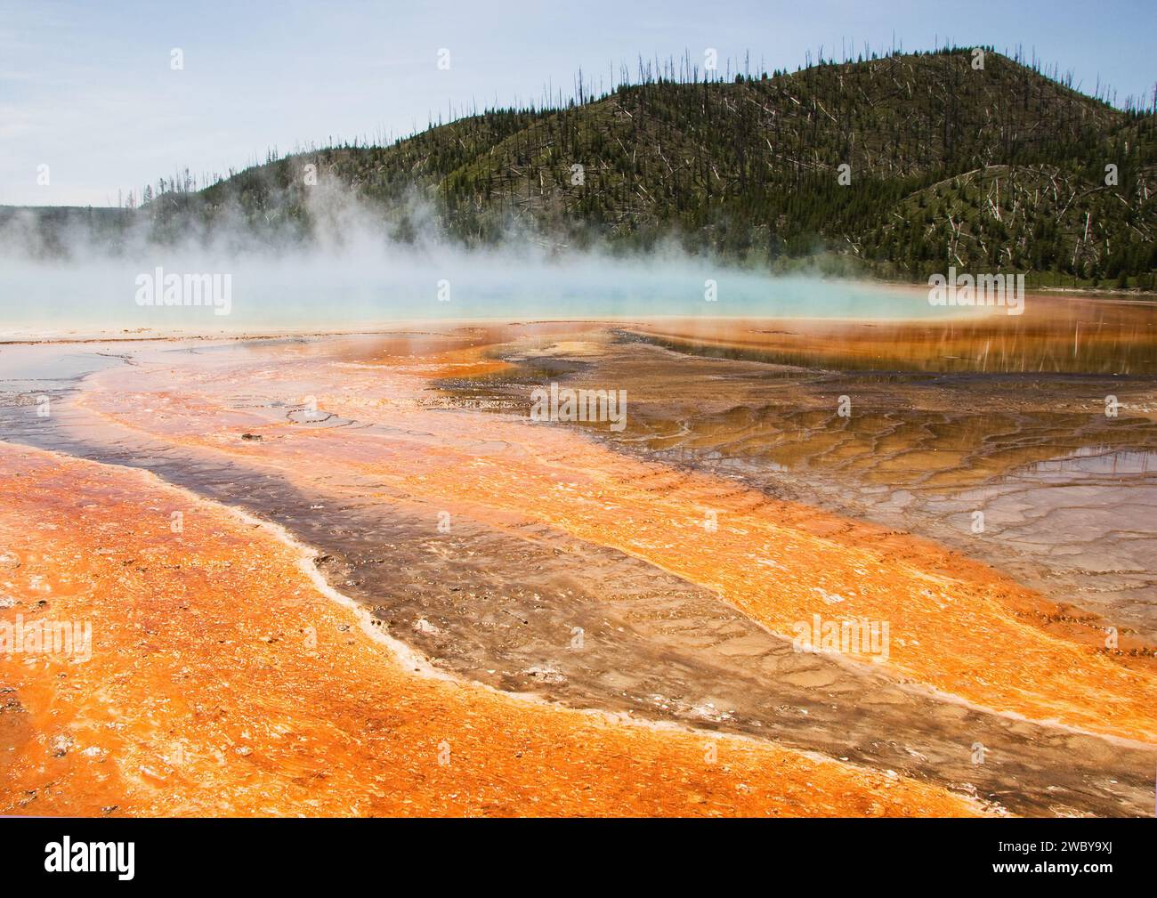 Steam rising from various geysers in the Upper Geyser Basin in ...