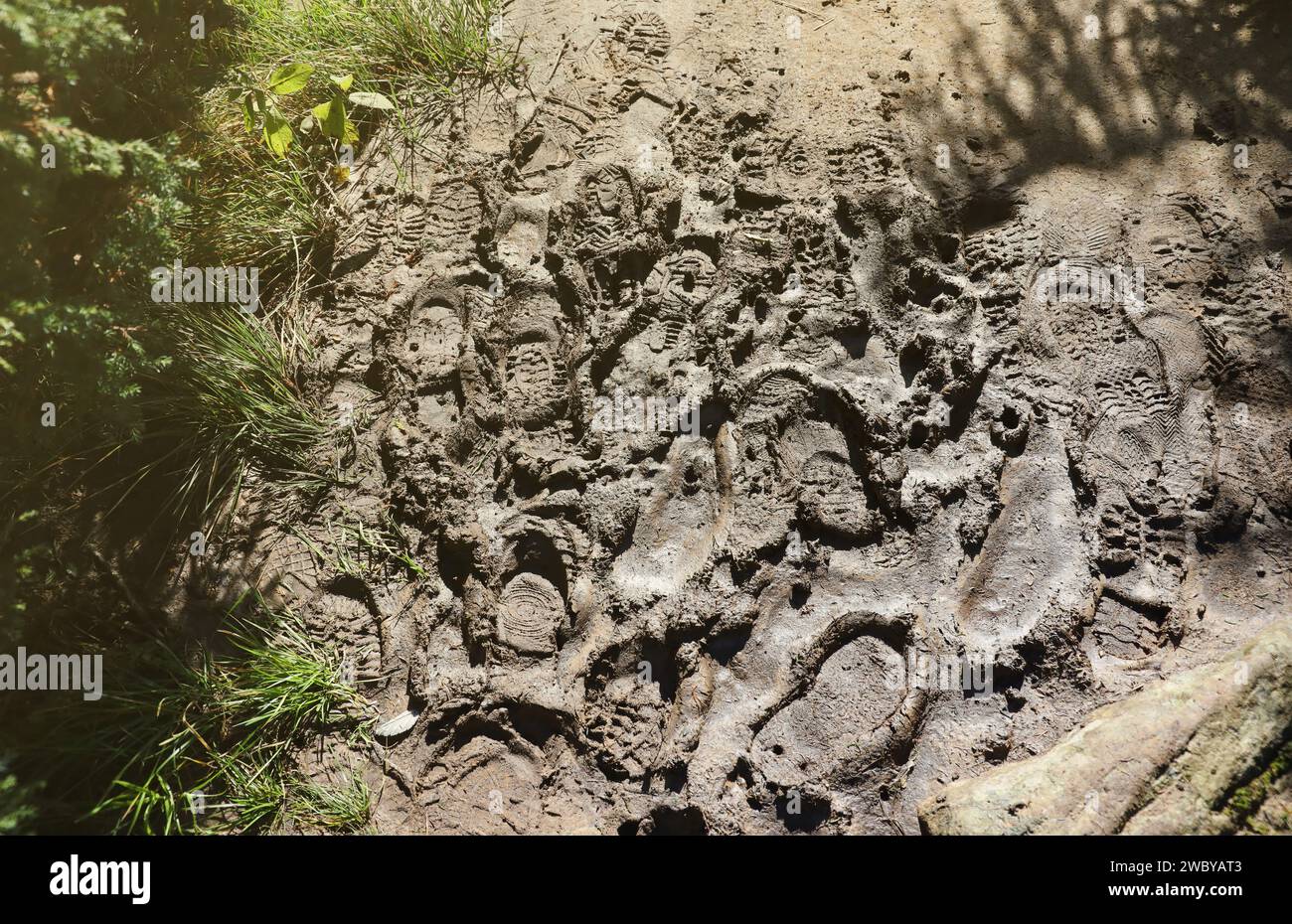 Foot mark on the jungle trail. Shoe prints on wet gravel or mud in ...