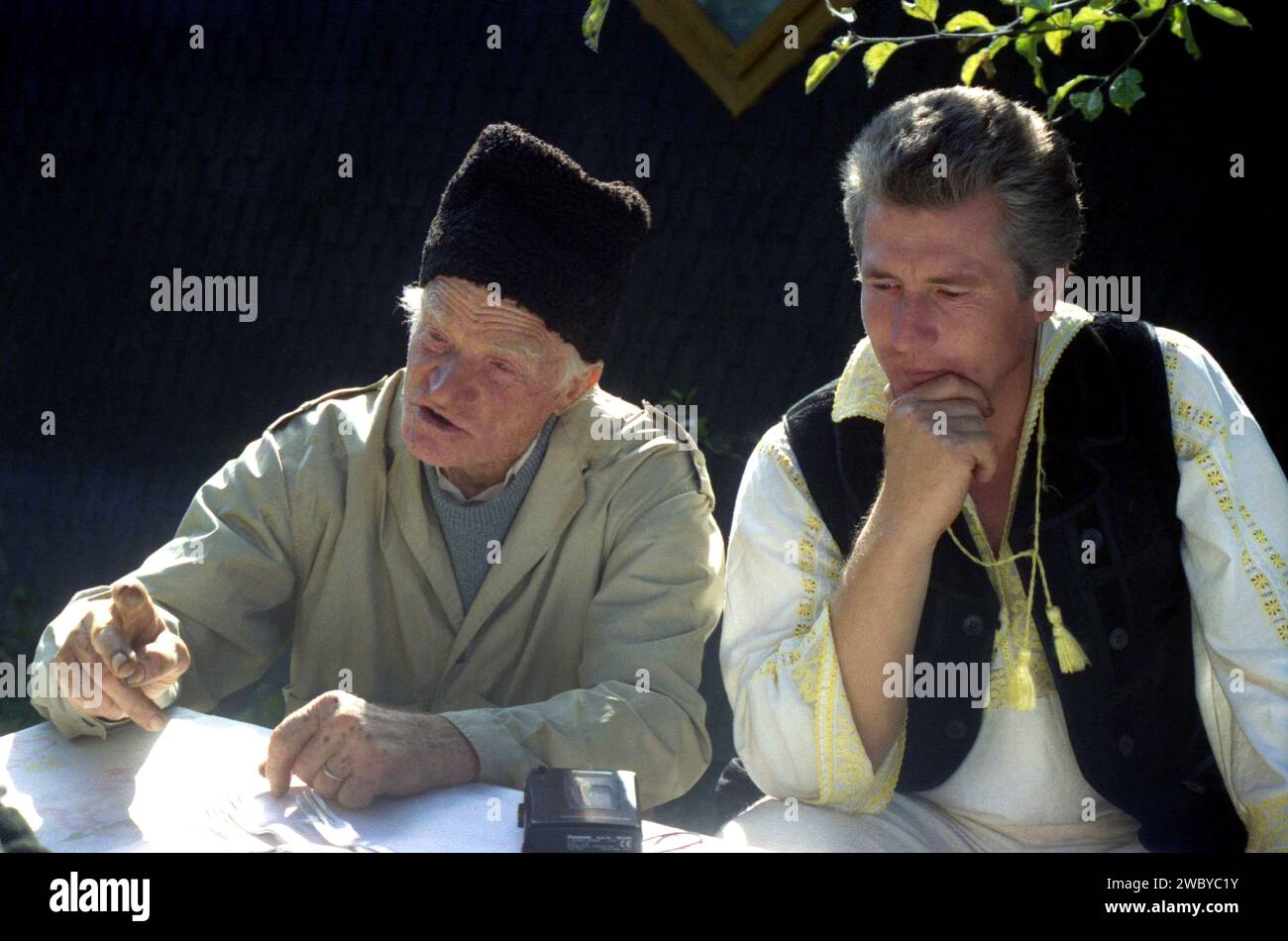 Negrilesti, Vrancea County, Romania, 2000. The folk artist Toma Avram ...