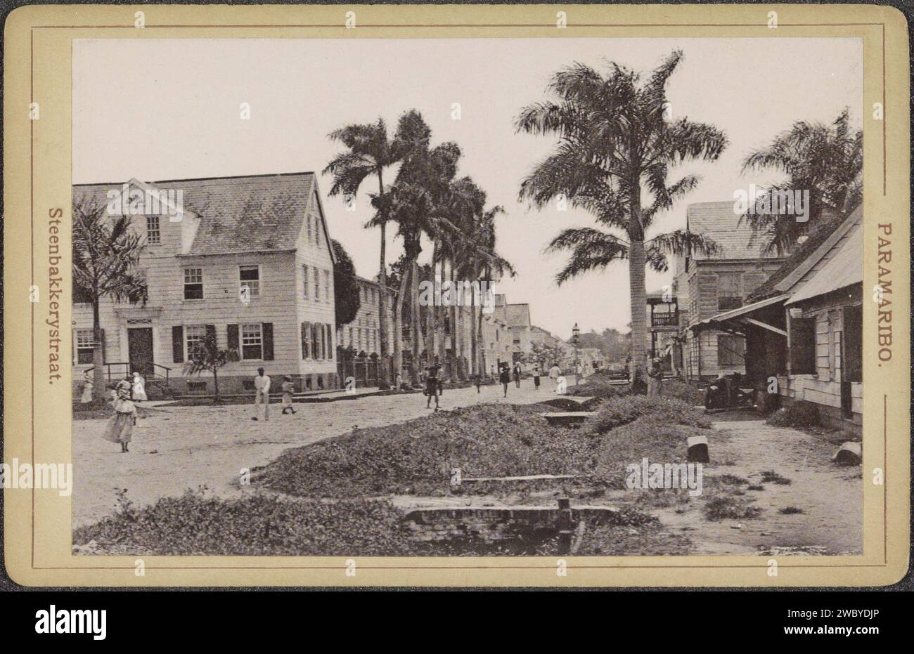 Steenbakkerijstraat in Paramaribo with palms and passers -by, c. 1900 ...