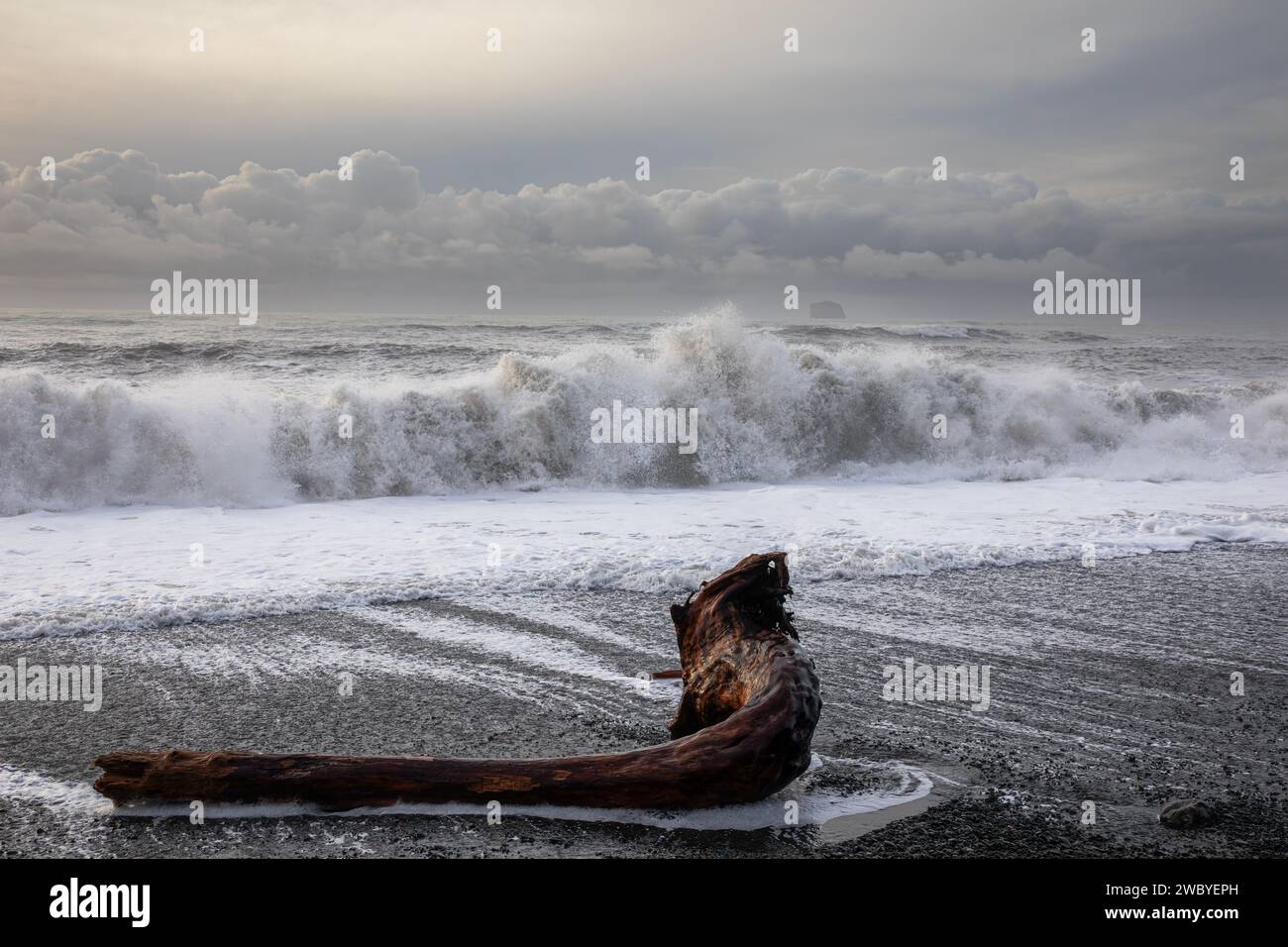WA23934-00...WASHINGTON - Stormy weather and rough ocean moving a drift ...