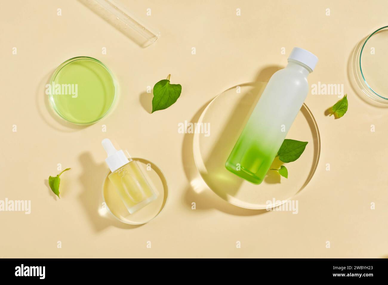 Unbranded bottle and dropper bottle placed on round podium. Petri dish ...