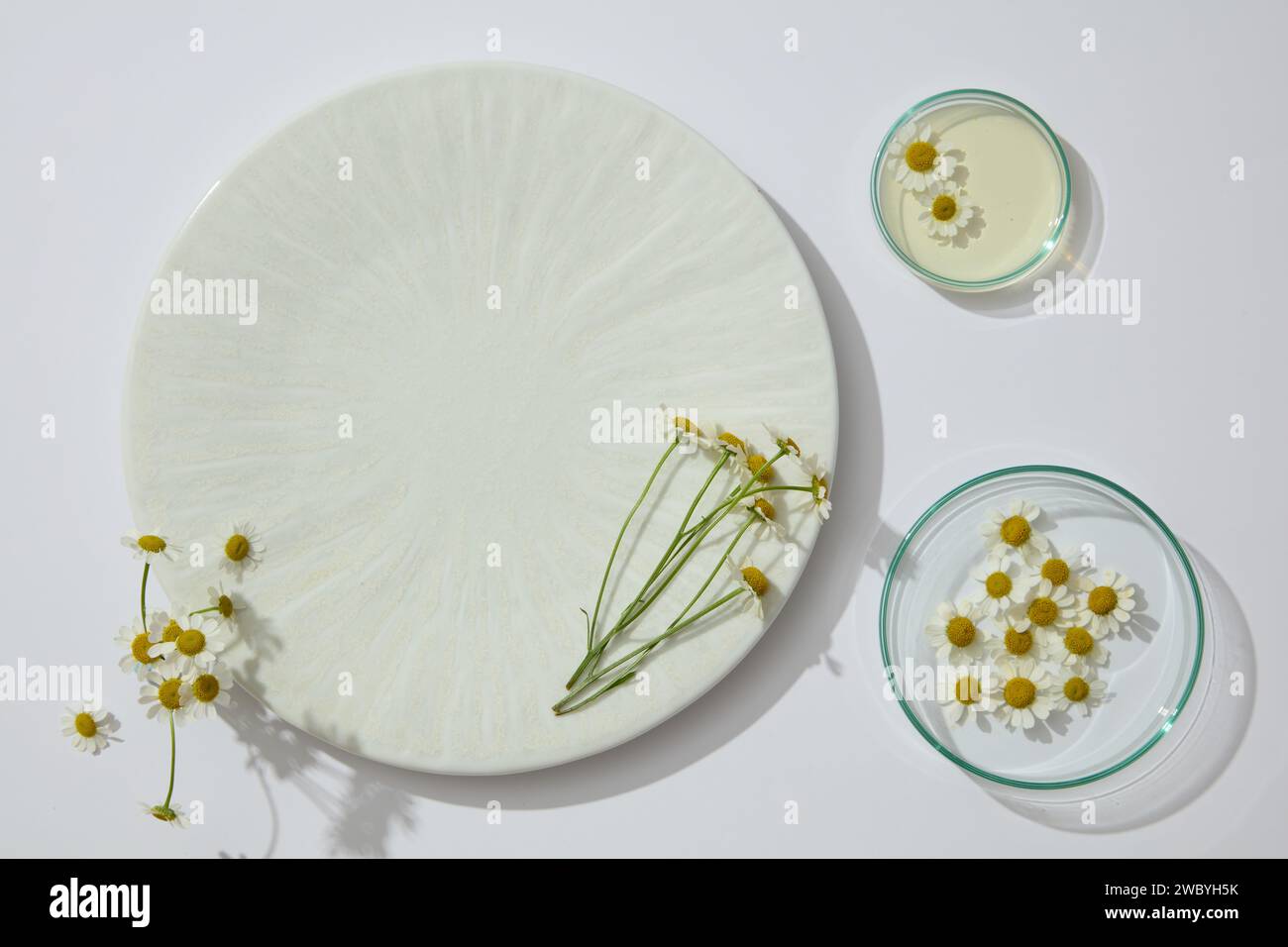 Round-shaped dish arranged with few petri dishes containing liquid and ...