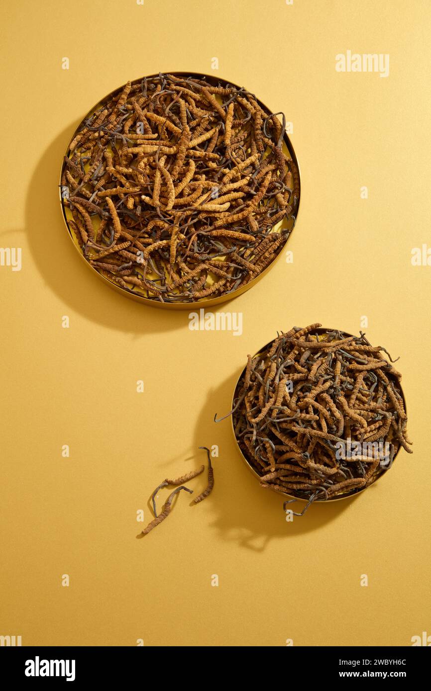 Golden dish containing Dried Cordyceps Sinensis decorated on beige ...
