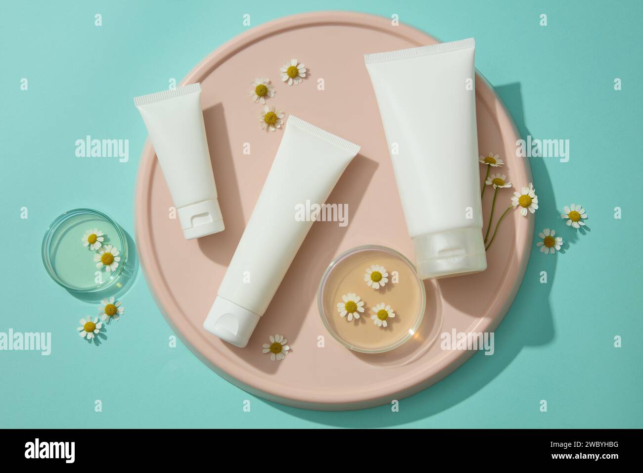 A set of white tubes arranged on pink dish. Blue background. Chamomilla ...