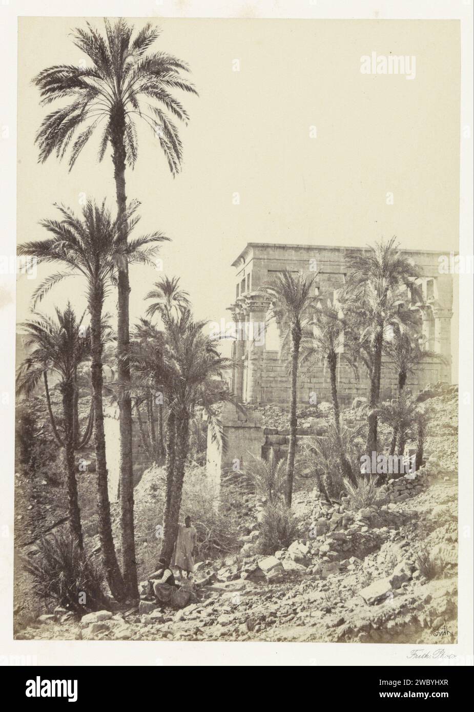 Palm trees on the island of Philae in the Nile, Francis Frith, in or ...