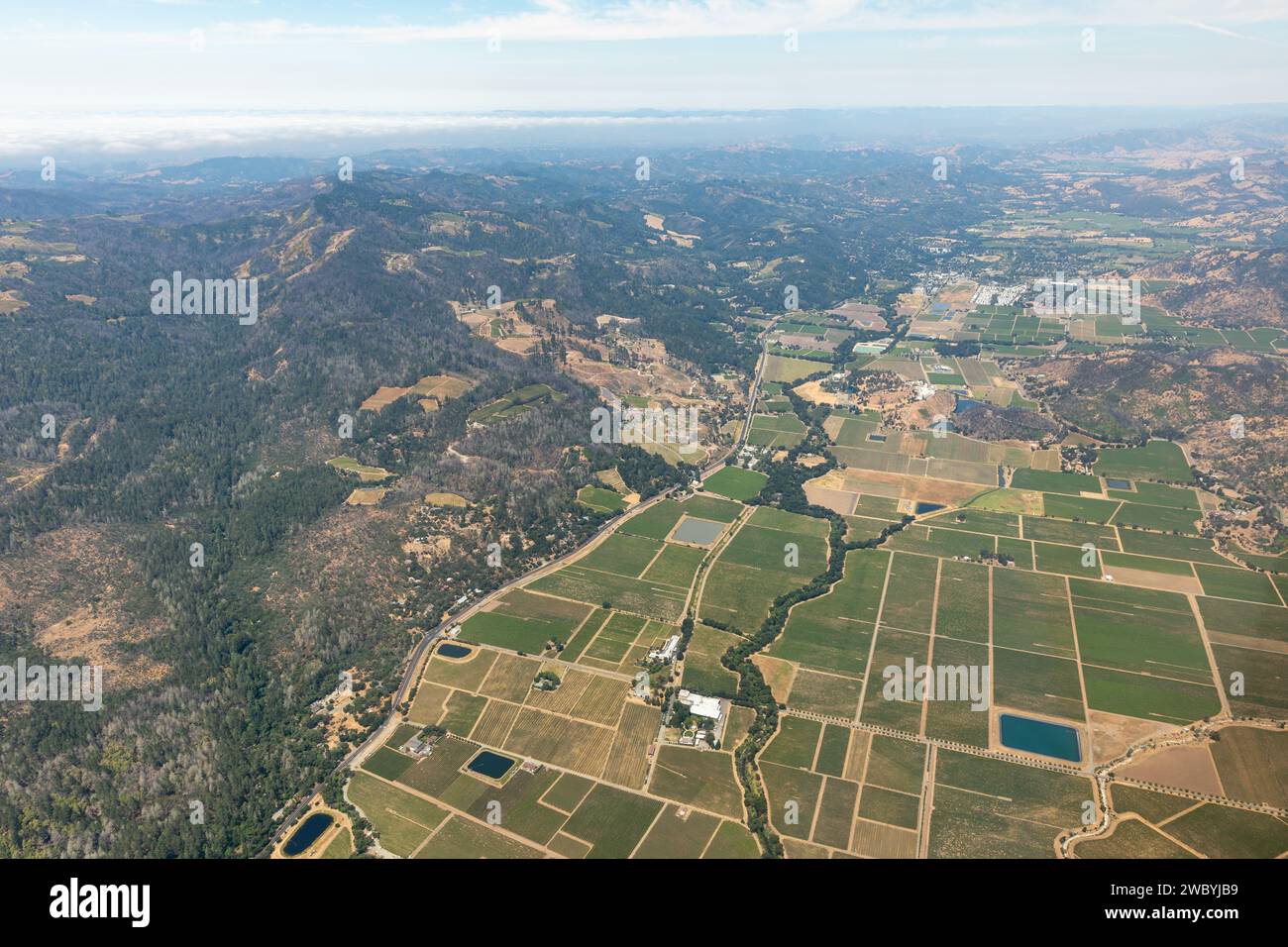 Aerial view of green rows of plants in farm fields, vineyards, and the ...