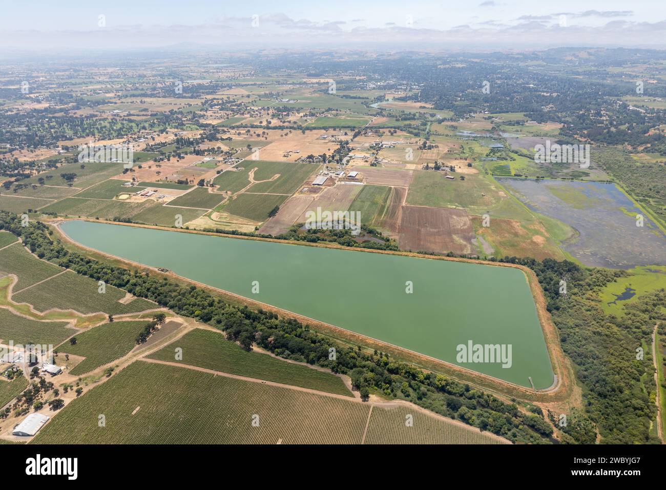 Aerial view of green rows of plants in farm fields, vineyards, and the ...