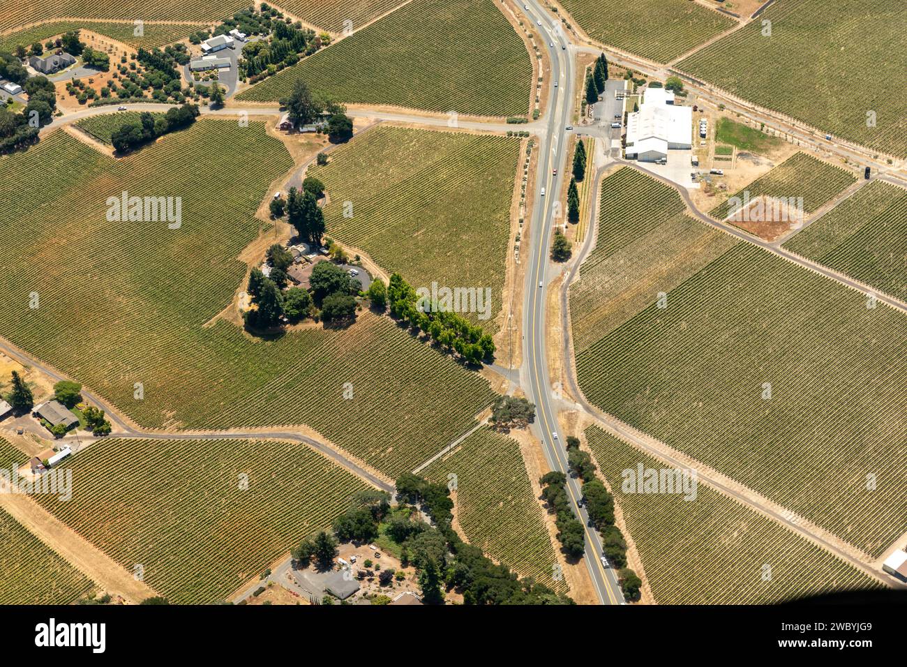 Aerial view of green rows of plants in farm fields, vineyards, and the ...