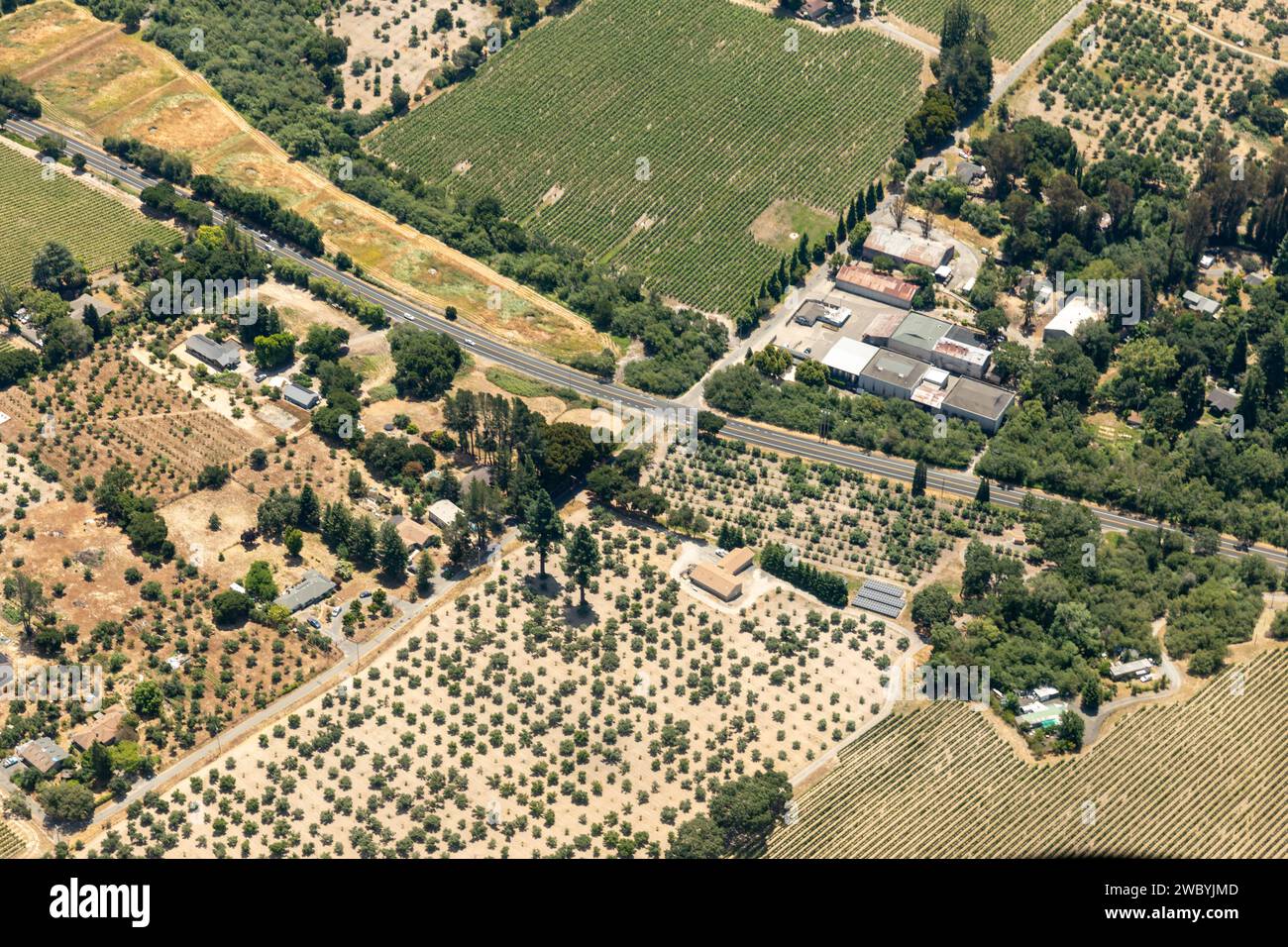 Aerial view of green rows of plants in farm fields, vineyards, and the ...