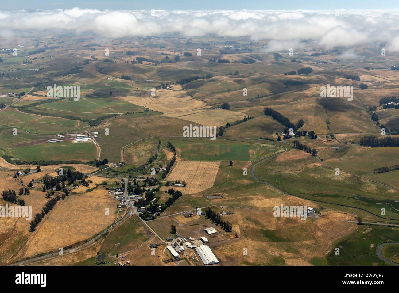 Aerial view of the colorful green pattern and relief of mountain ridges ...