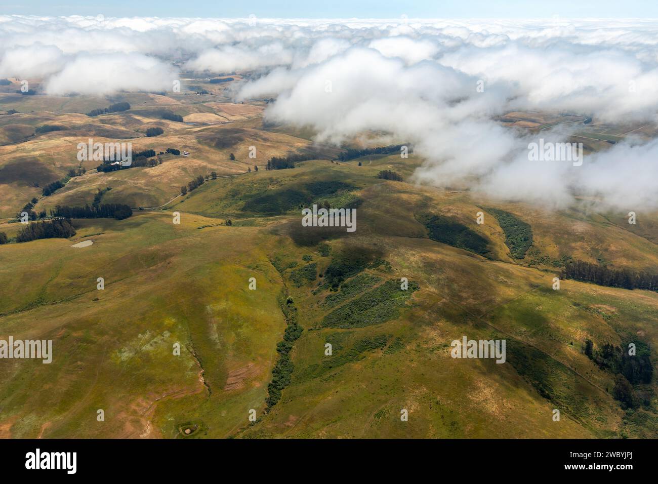 Aerial view of the colorful green pattern and relief of mountain ridges ...