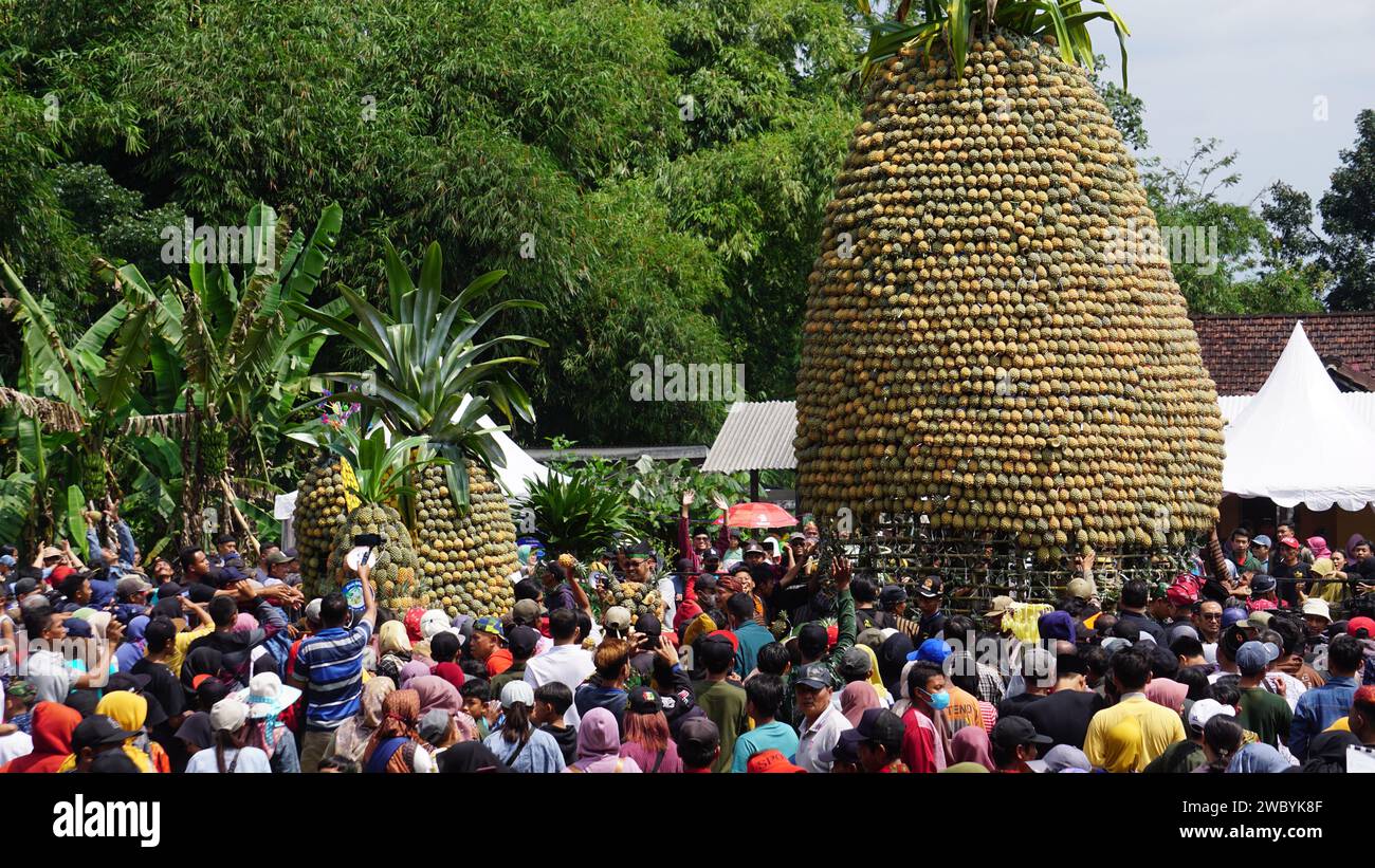 Pineapple festival in kelud, Kediri, East Java, Indonesia Stock Photo ...