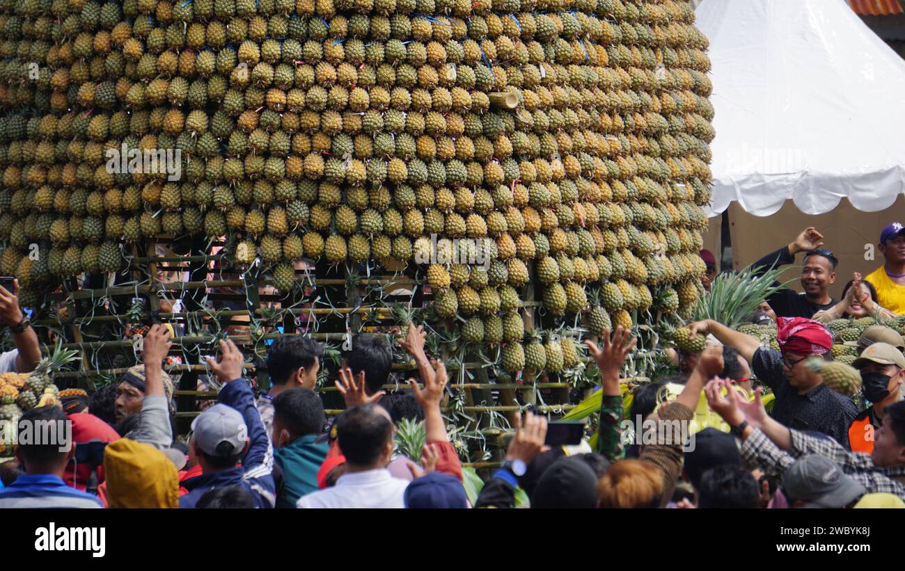 Pineapple festival in kelud, Kediri, East Java, Indonesia Stock Photo ...