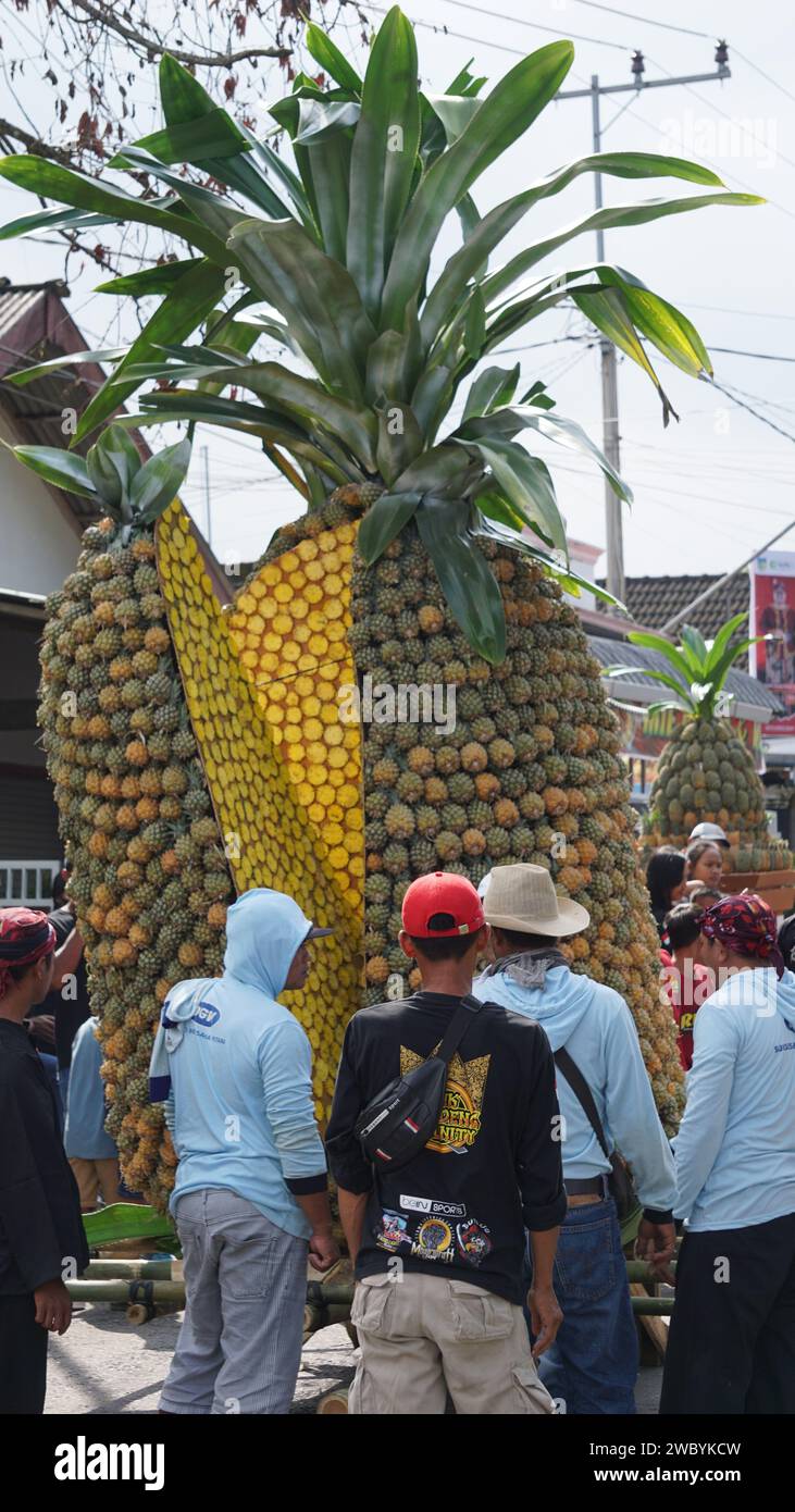 Pineapple festival in kelud, Kediri, East Java, Indonesia Stock Photo ...