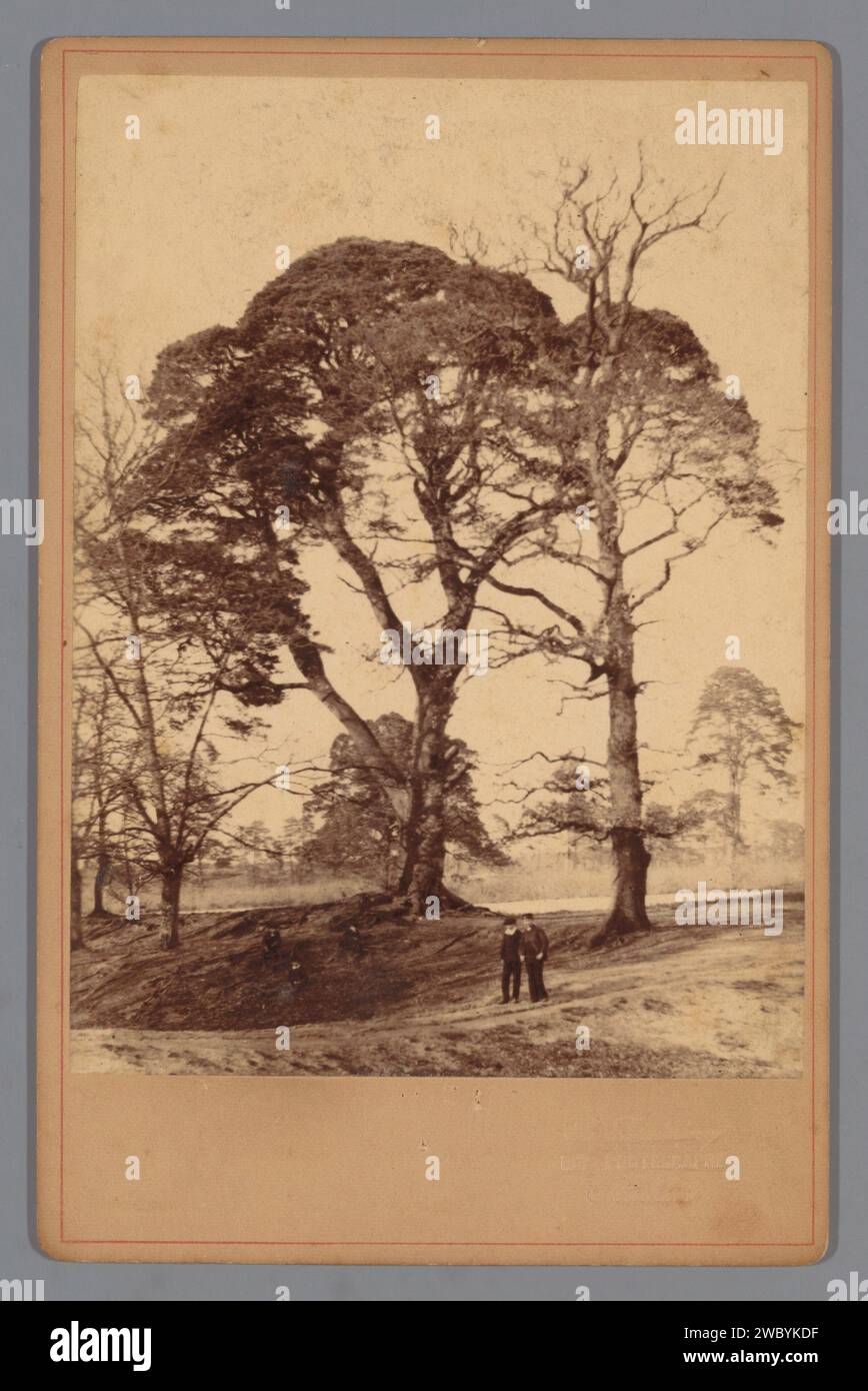 Two people for the millennial pine in Wolfheze, Bernardus Bruining ...