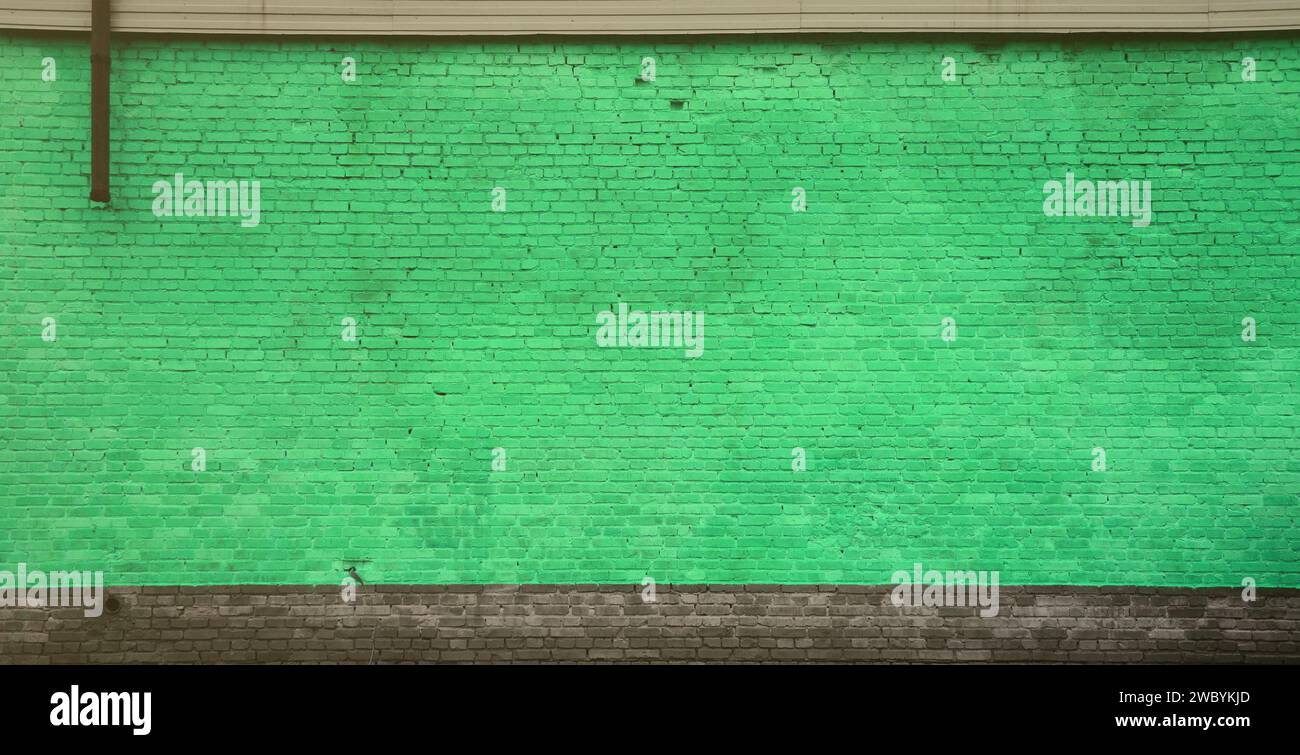 The texture of the brick wall of many rows of bricks painted in green ...