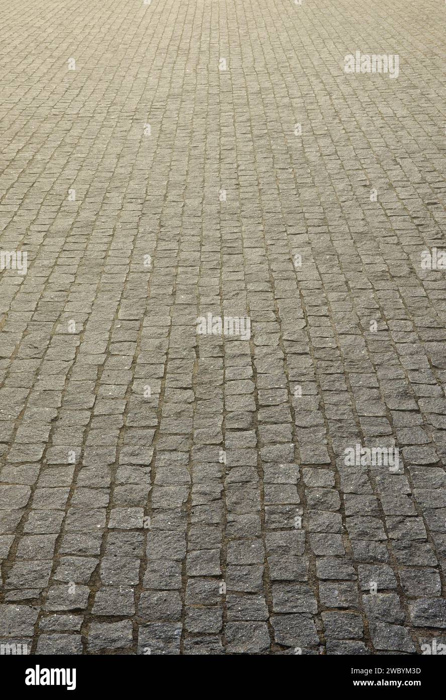 The texture of the paving slab (paving stones) of many small stones of ...