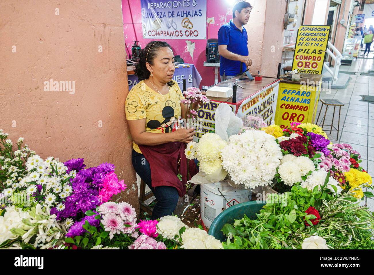 Merida Mexico,centro historico central historic district,store business ...