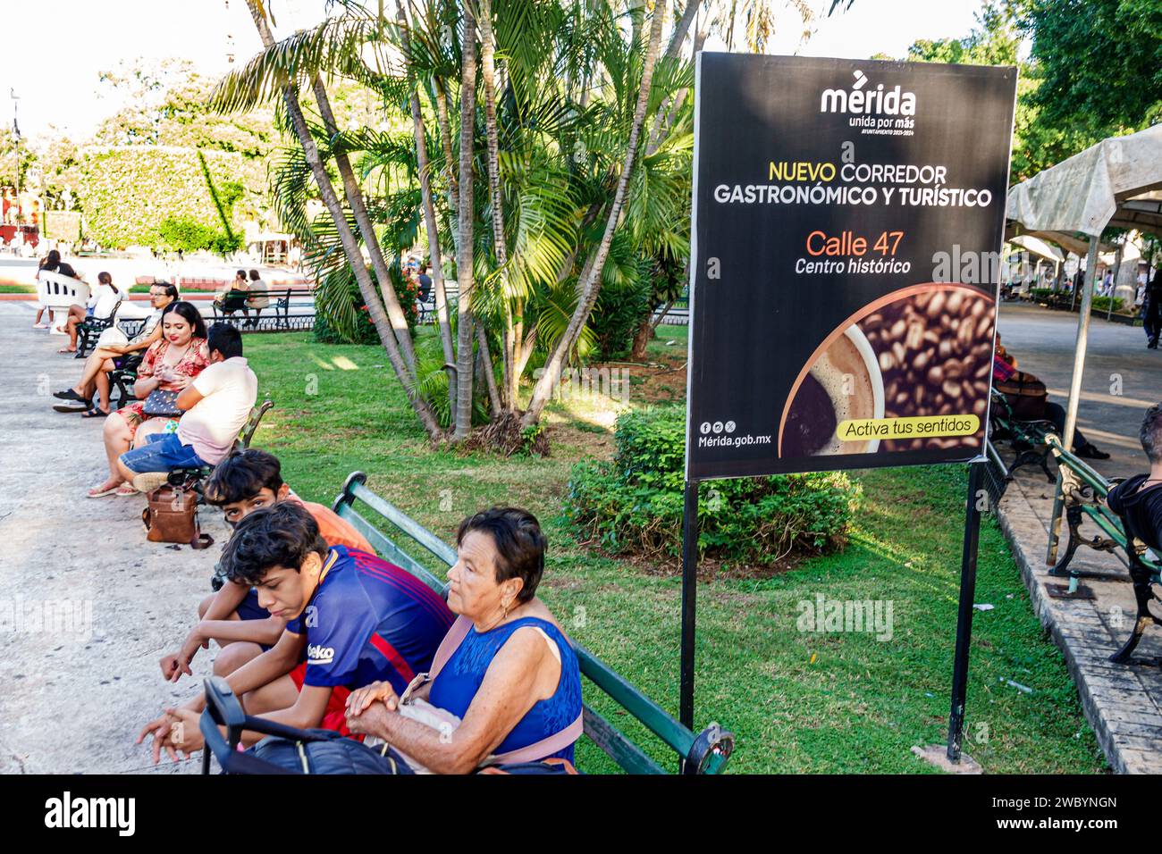 Merida Mexico,centro historico central historic district,public park ...