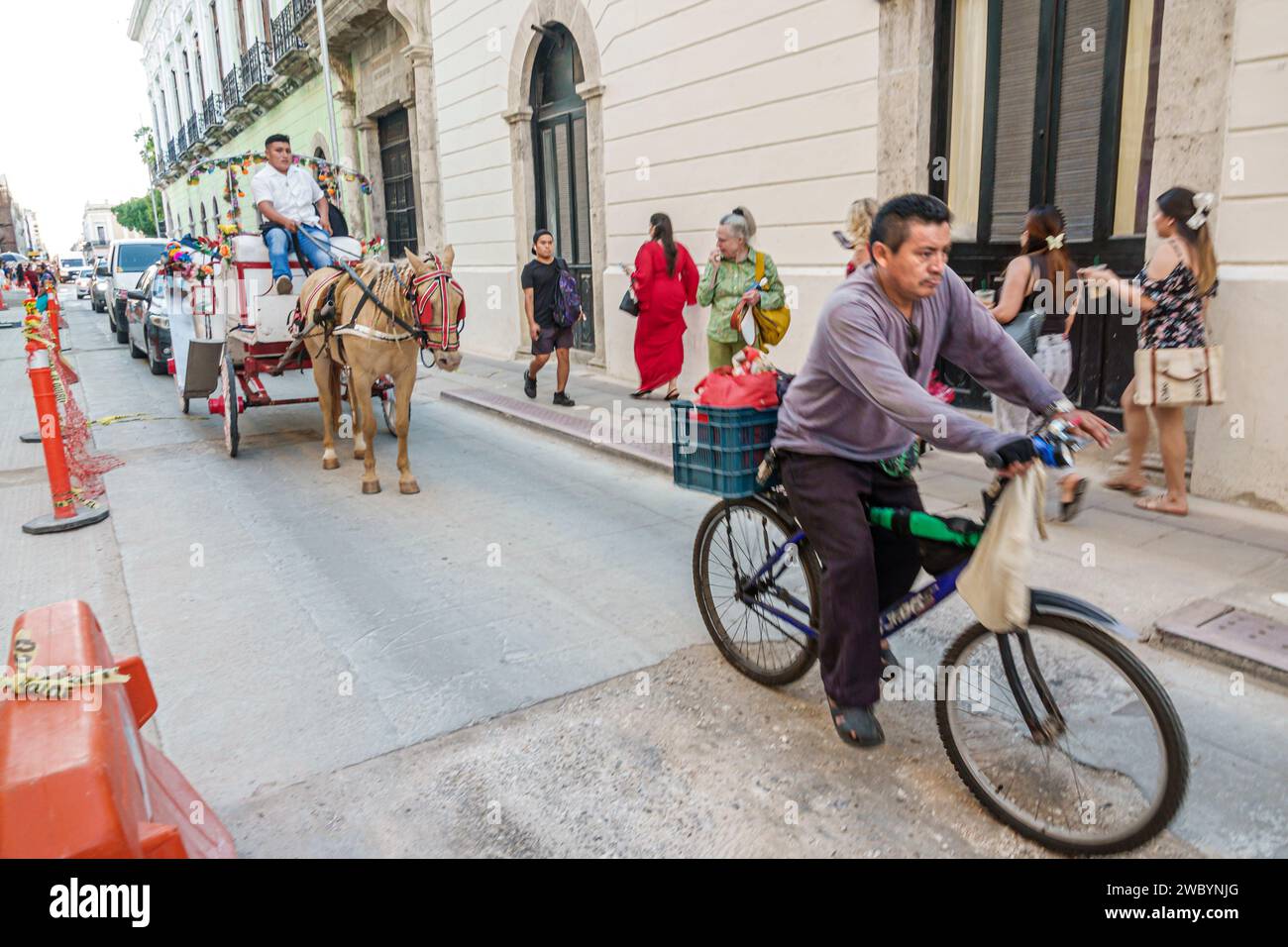 Merida Mexico,centro historico central historic district,biker bicycle ...