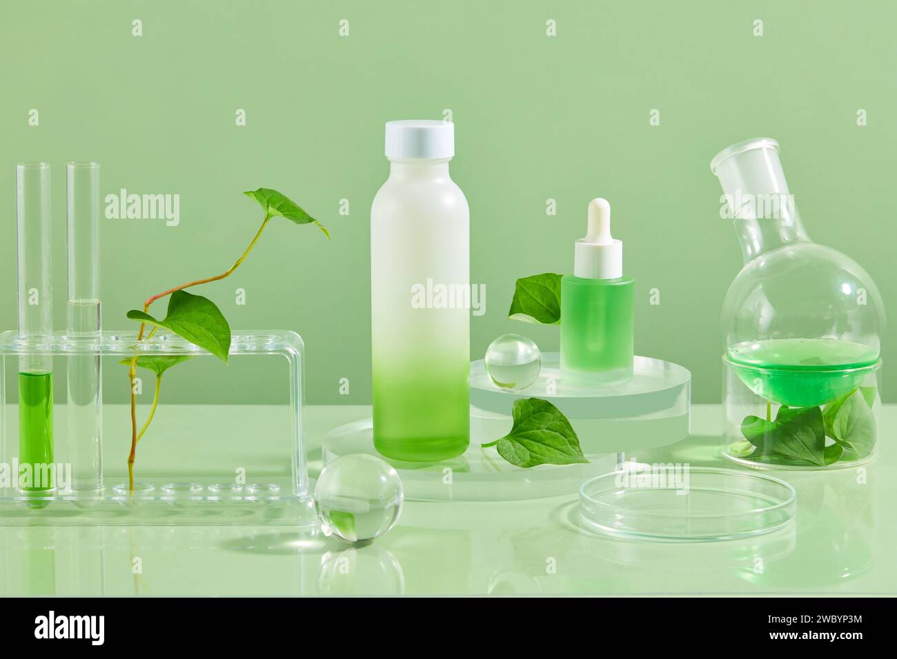 Natural concept of fish mint leaves and cosmetic bottles on laboratory ...