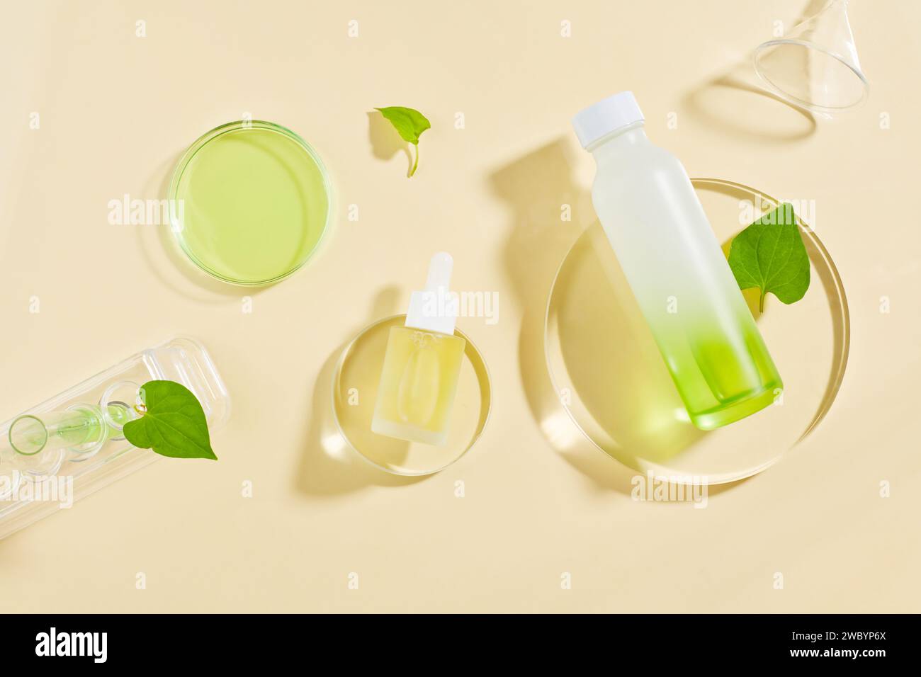 Houttuynia cordata container hi-res stock photography and images - Alamy