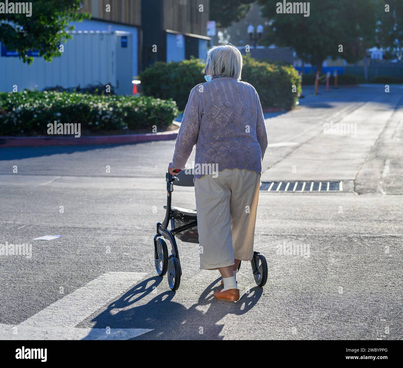 Walker wheelchair hi-res stock photography and images - Alamy