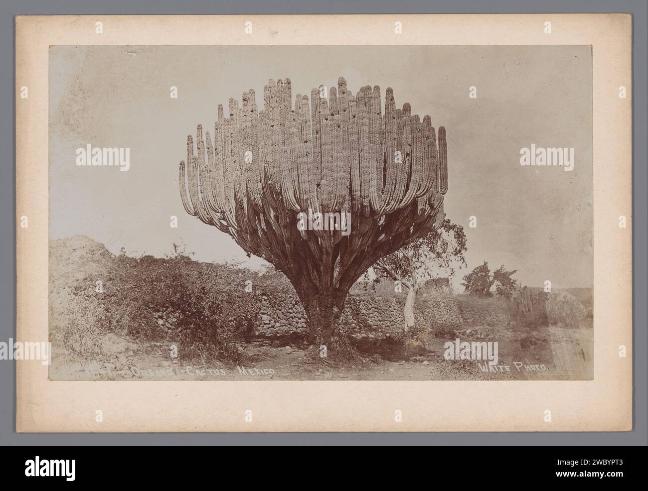 Charles betts hi-res stock photography and images - Alamy