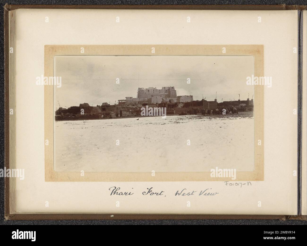 Phari Fort seen from the west with houses and pack animals surrounding ...