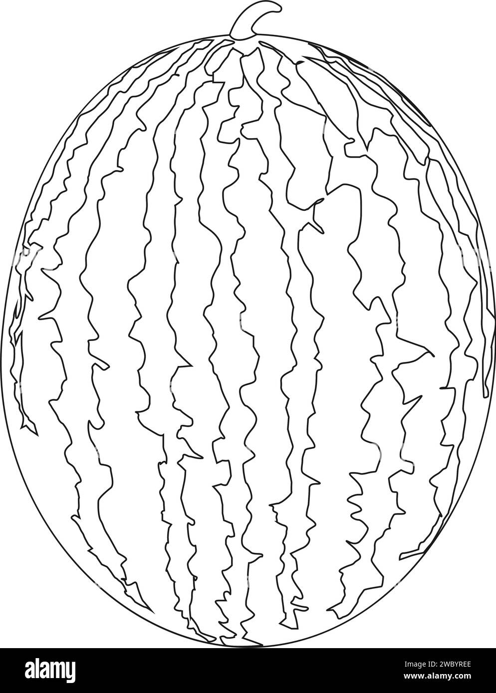 Mango melon orange Black and White Stock Photos & Images - Alamy