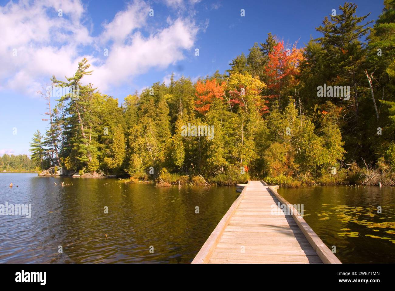 Boardwalk on Upper Saranac Lake, Saranac Lake Wild Forest, Adirondack ...