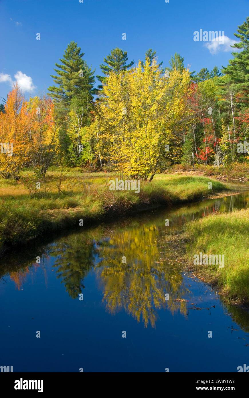 Raquette River, Adirondack Forest Preserve, New York Stock Photo - Alamy