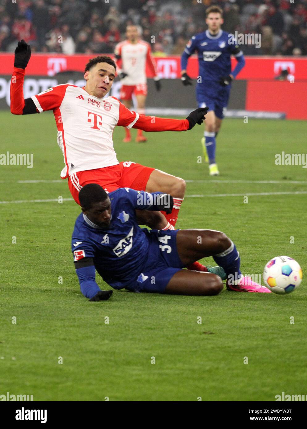 Fc bayern muenchen vs tsg hoffenheim hi-res stock photography and ...
