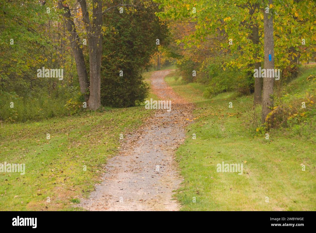 Towpath trail, Old Erie Canal State Historic Park, New York Stock Photo ...