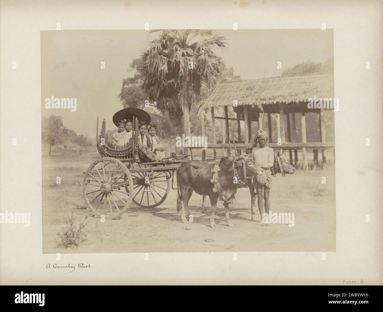Four young Burmese women in a bullock cart, Myanmar, anonymous, c. 1885 ...