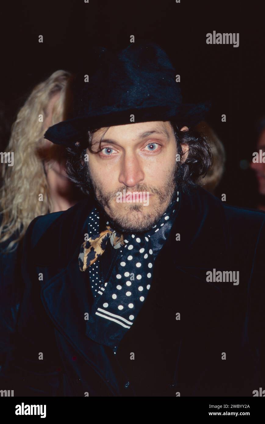 Vincent Gallo attends the Sony Music Party for the 39th Annual Grammy ...