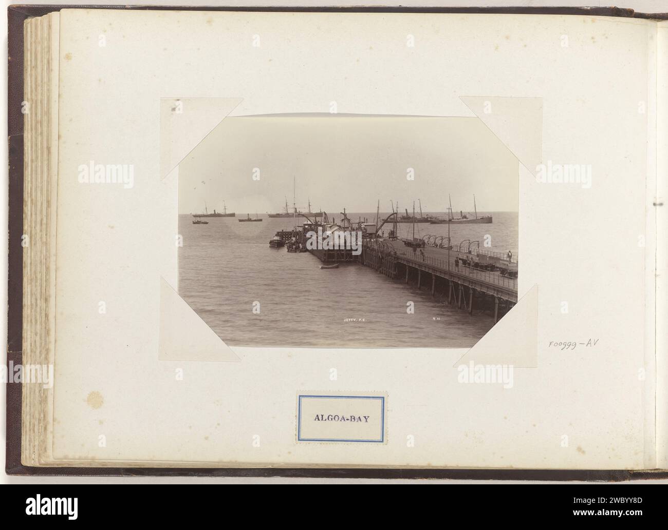Scaffolding in the port of Port Elizabeth, RH, c. 1885 - c. 1910 ...
