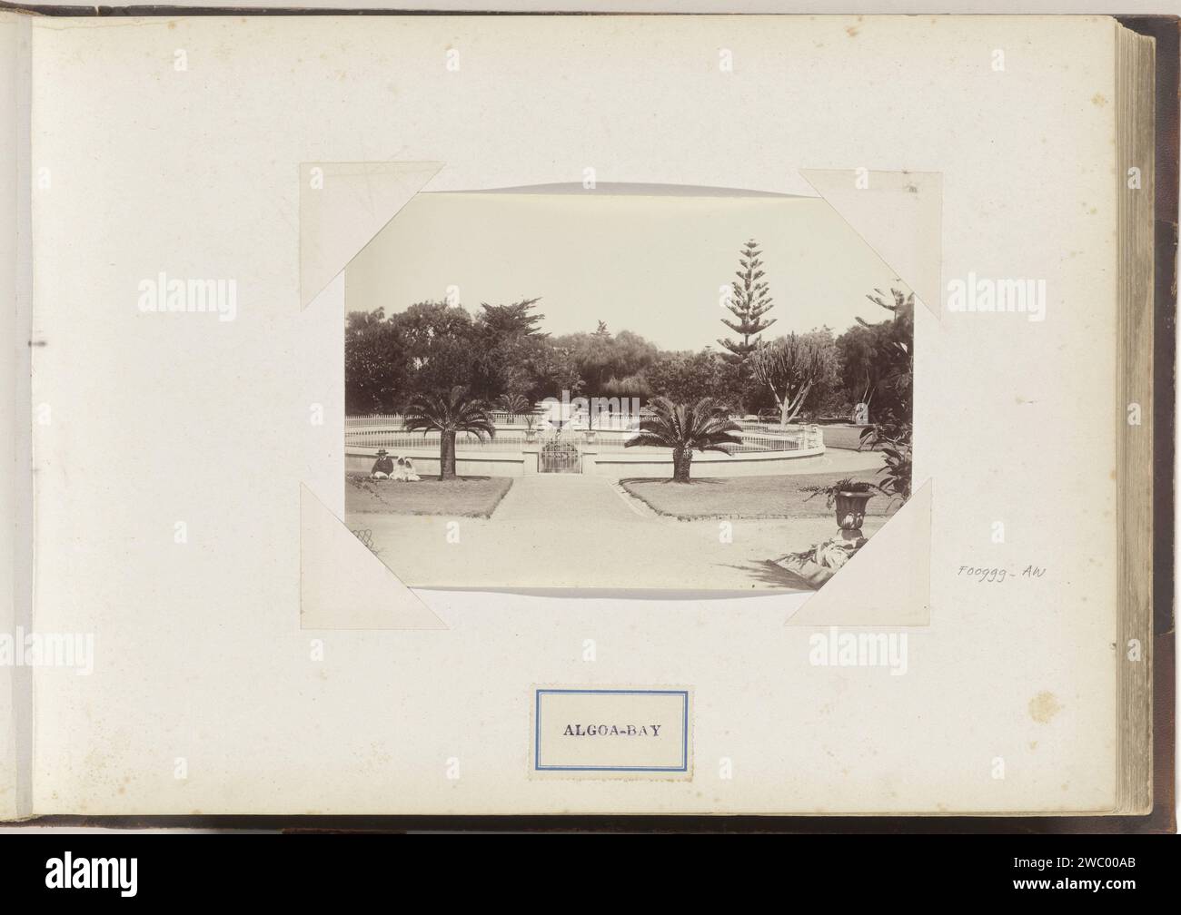 Three children in a park in Algoa Bay near Port Elizabeth, Anonymous, c ...