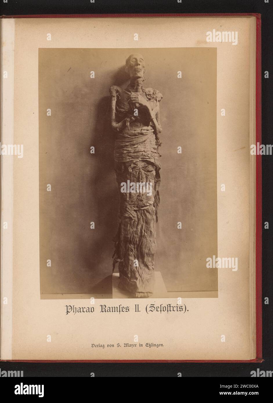 Mummy of ramses ii hi-res stock photography and images - Alamy