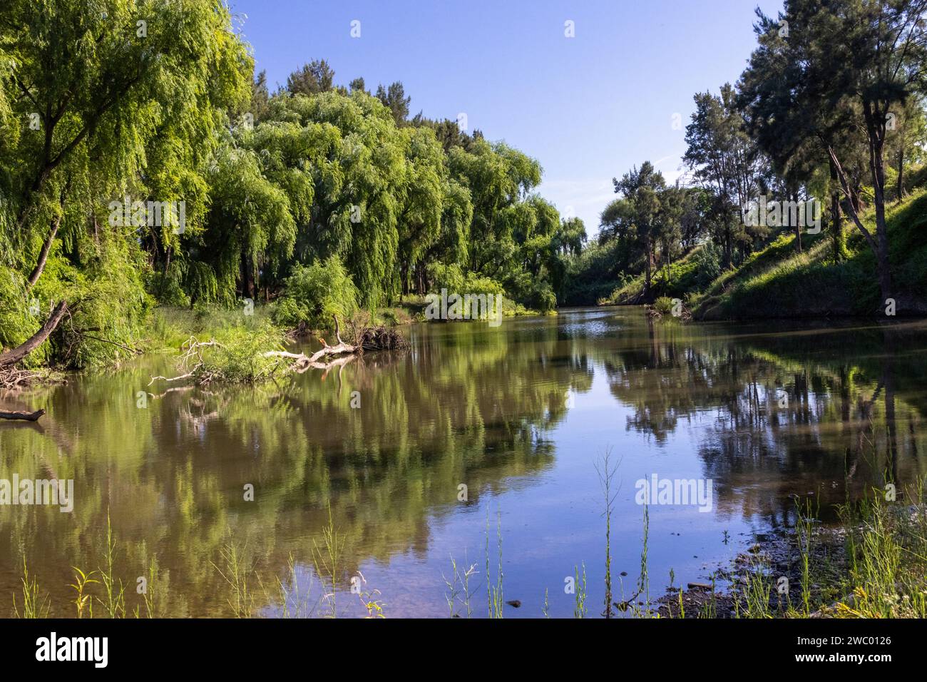Hunter River at Muswellbrook Stock Photo - Alamy
